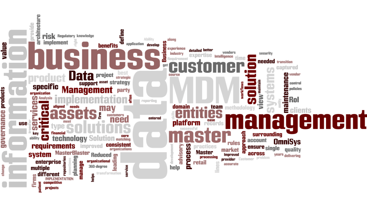 12 Master Data Management (MDM) Cloud Words Infographic – Tech Talk