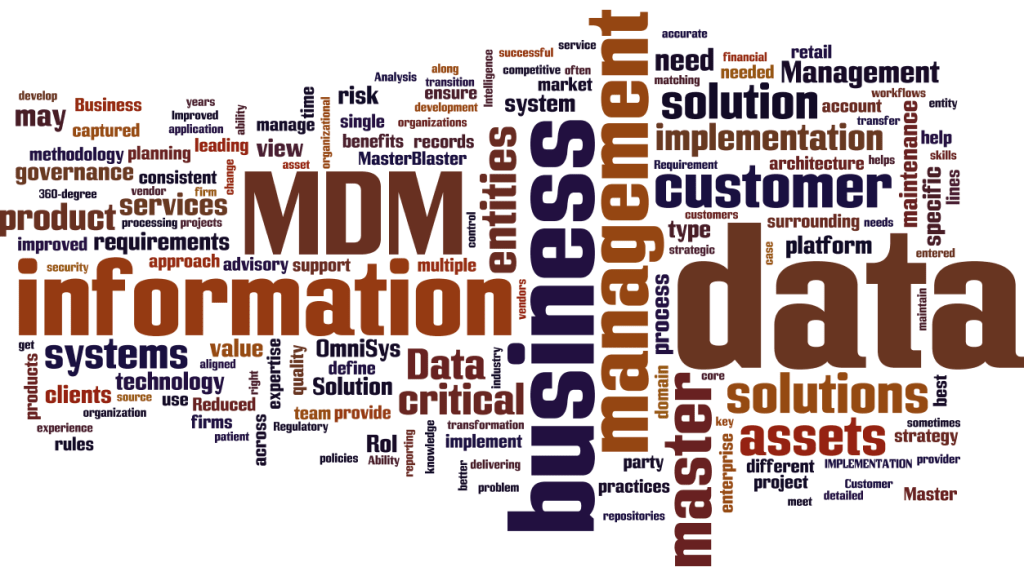 12 Master Data Management (MDM) Cloud Words Infographic – Tech Talk